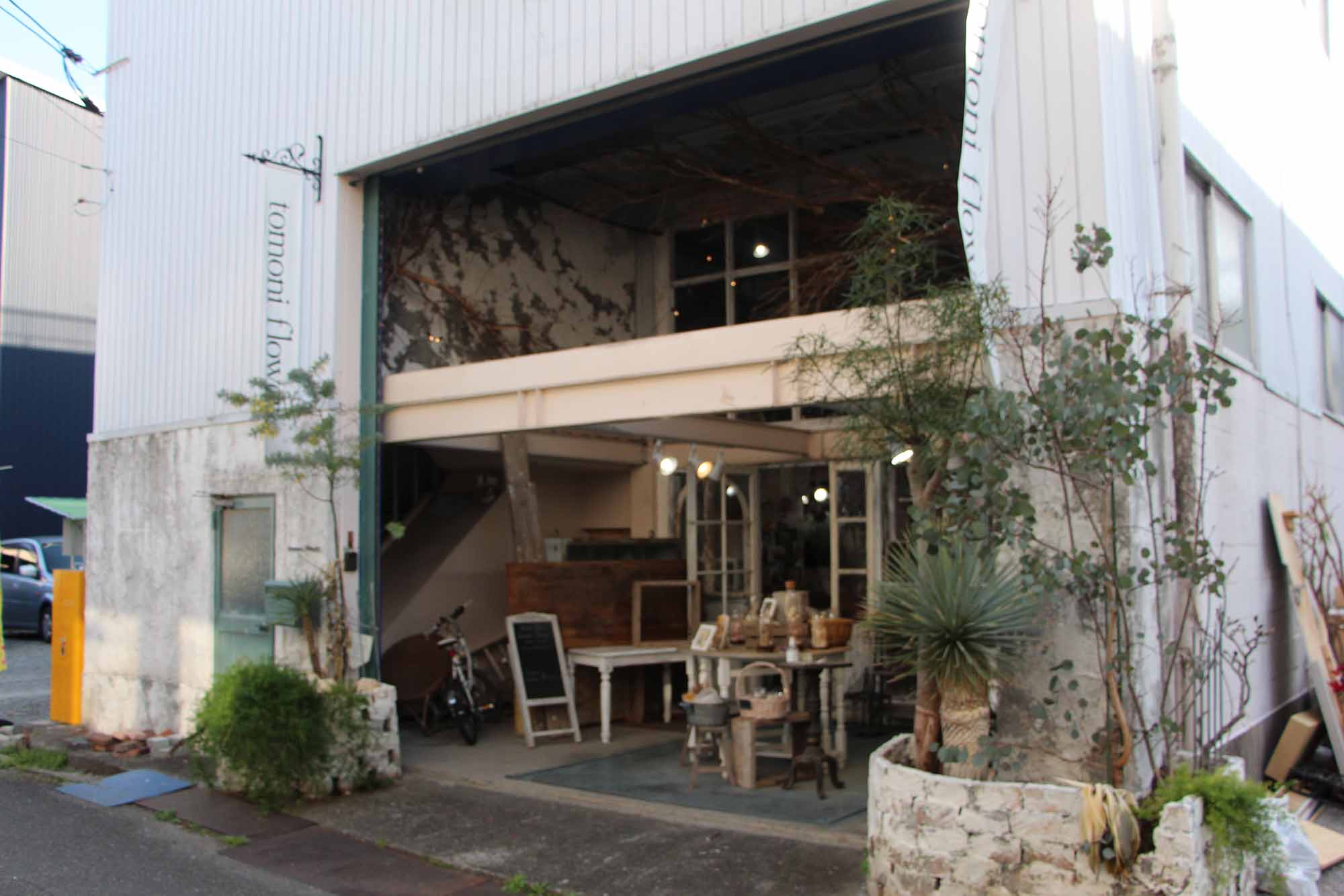 tomoni flower - 【公式】JA高知県